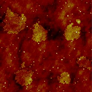 Agilent / HP / Keysight N9417S - N9417S 7500 Atomic Force Microscope ...